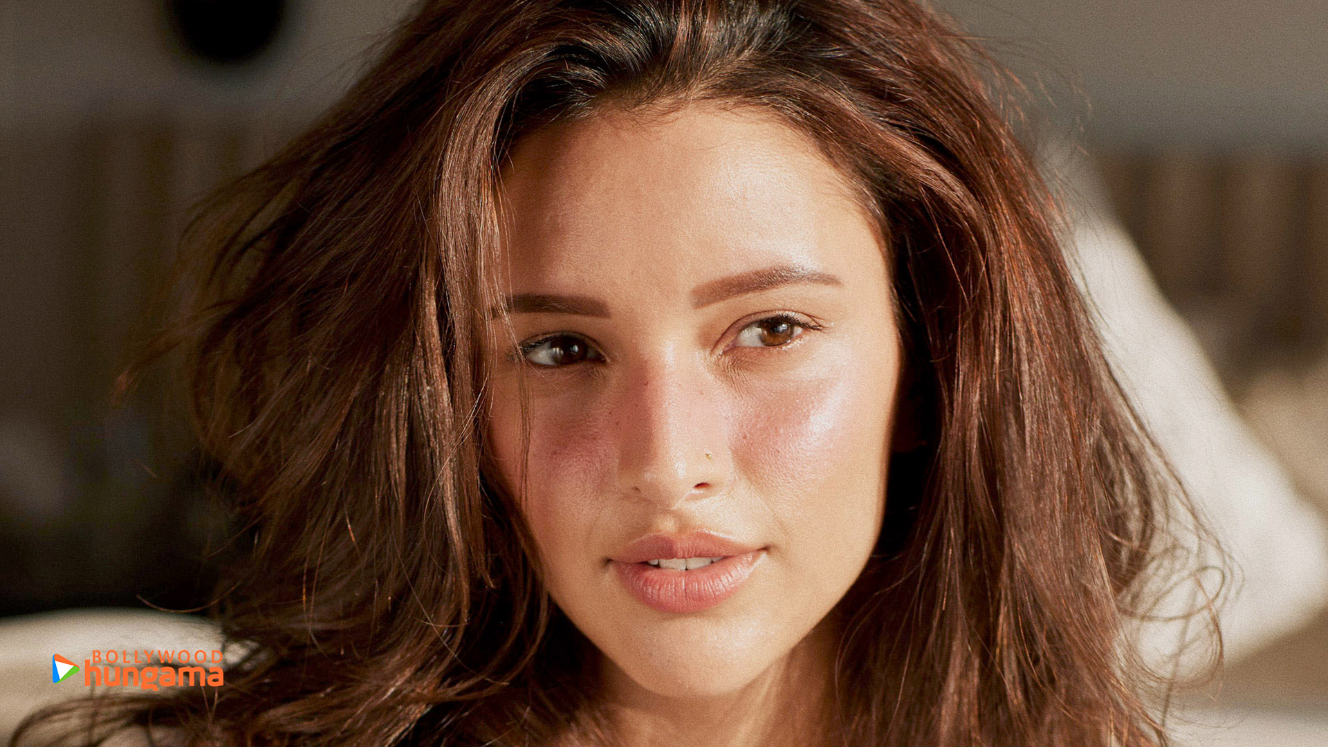 Triptii Dimri Wallpapers | triptii-dimri-4-16 - Bollywood Hungama