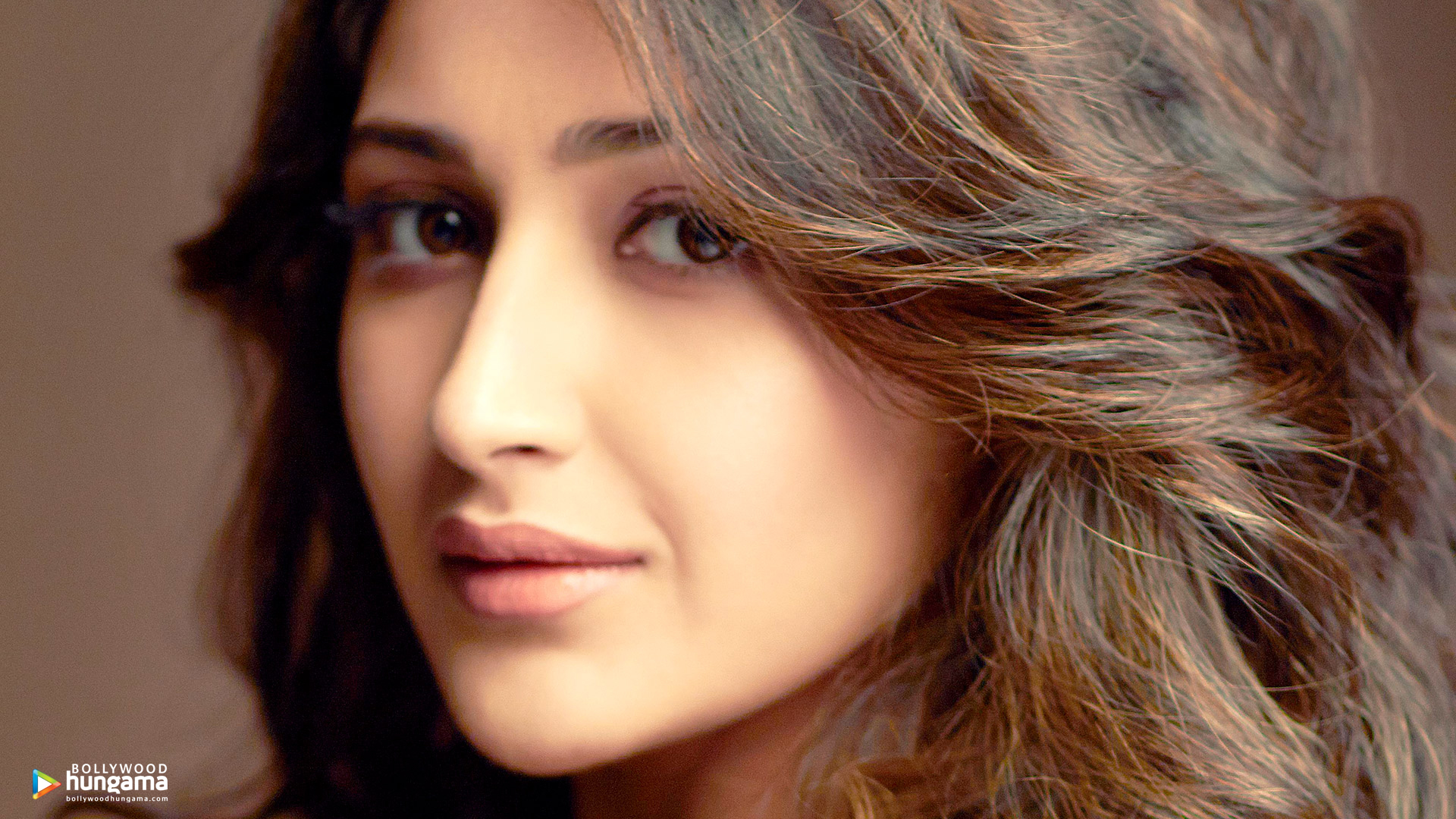 Sayyeshaa Wallpapers | sayyeshaa-3-2 - Bollywood Hungama