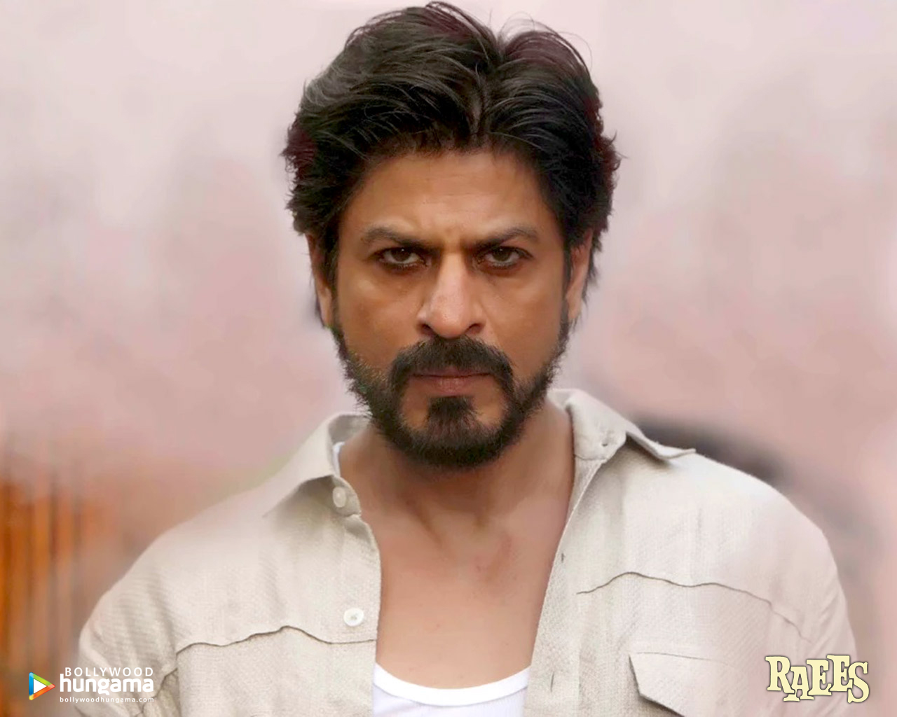 Raees 2017 Wallpapers | Raees 2017 HD Images | Photos raees1-12 ...