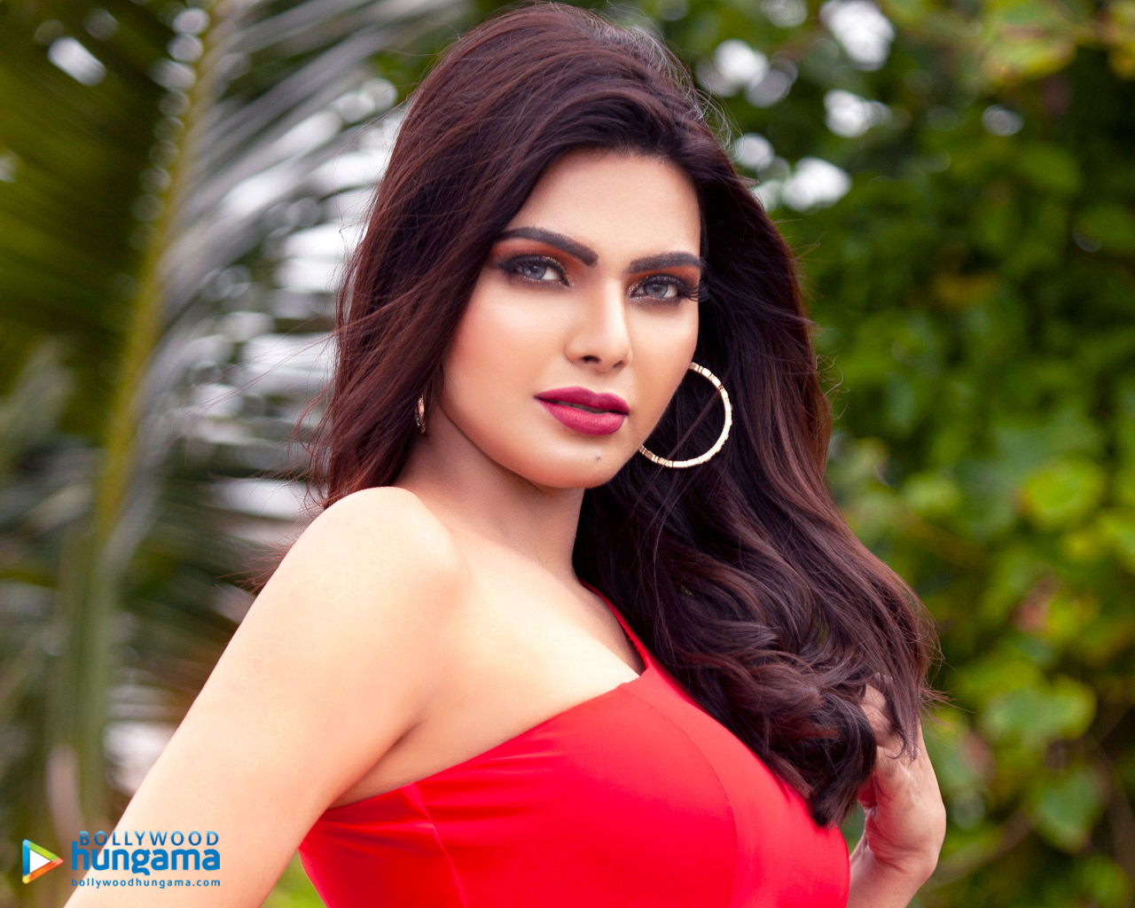Sherlyn Chopra Wallpapers | sherlyn-chopra-249-2 - Bollywood Hungama