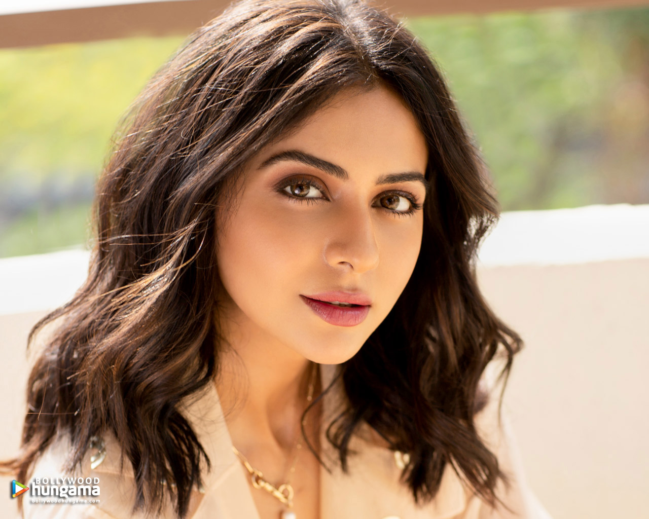 Rakul Preet Singh Wallpapers | rakul-preet-singh-3-17 - Bollywood Hungama