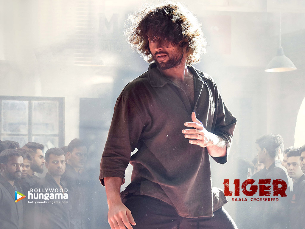 Liger 2022 Wallpapers | Liger 2022 HD Images | Photos liger-19-3 ...