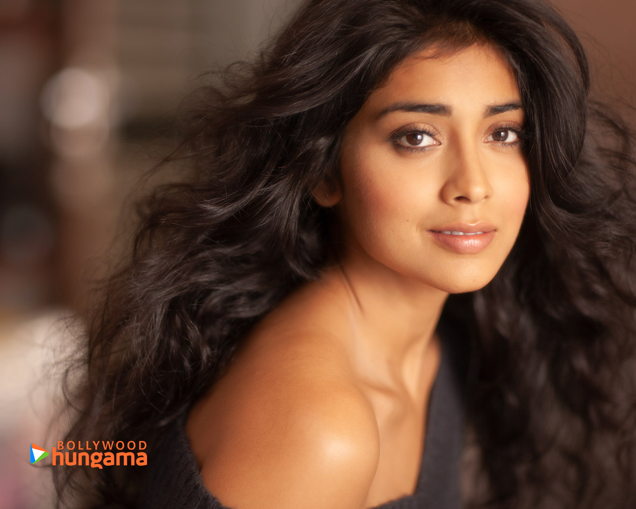 Wallpapers | - Bollywood Hungama
