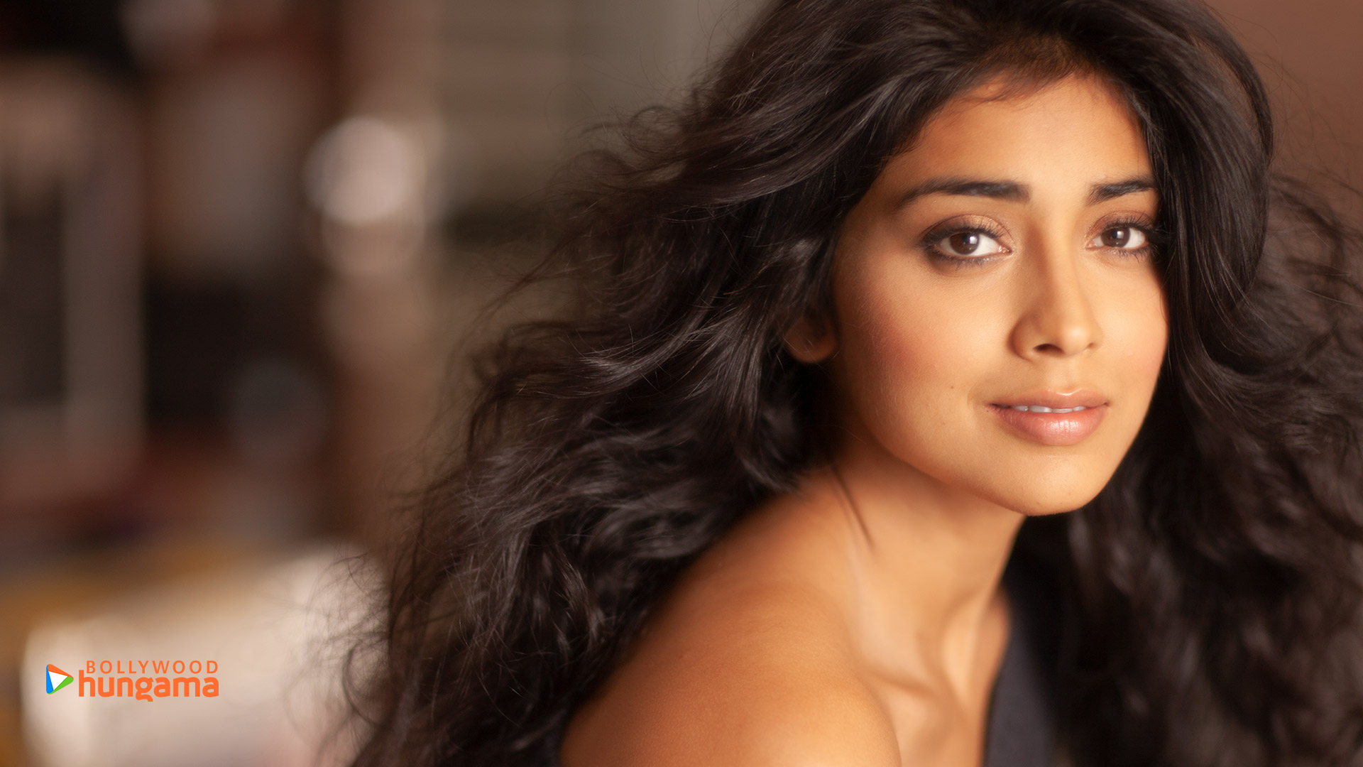 Shriya Saran Wallpapers | shriya-saran-02 - Bollywood Hungama