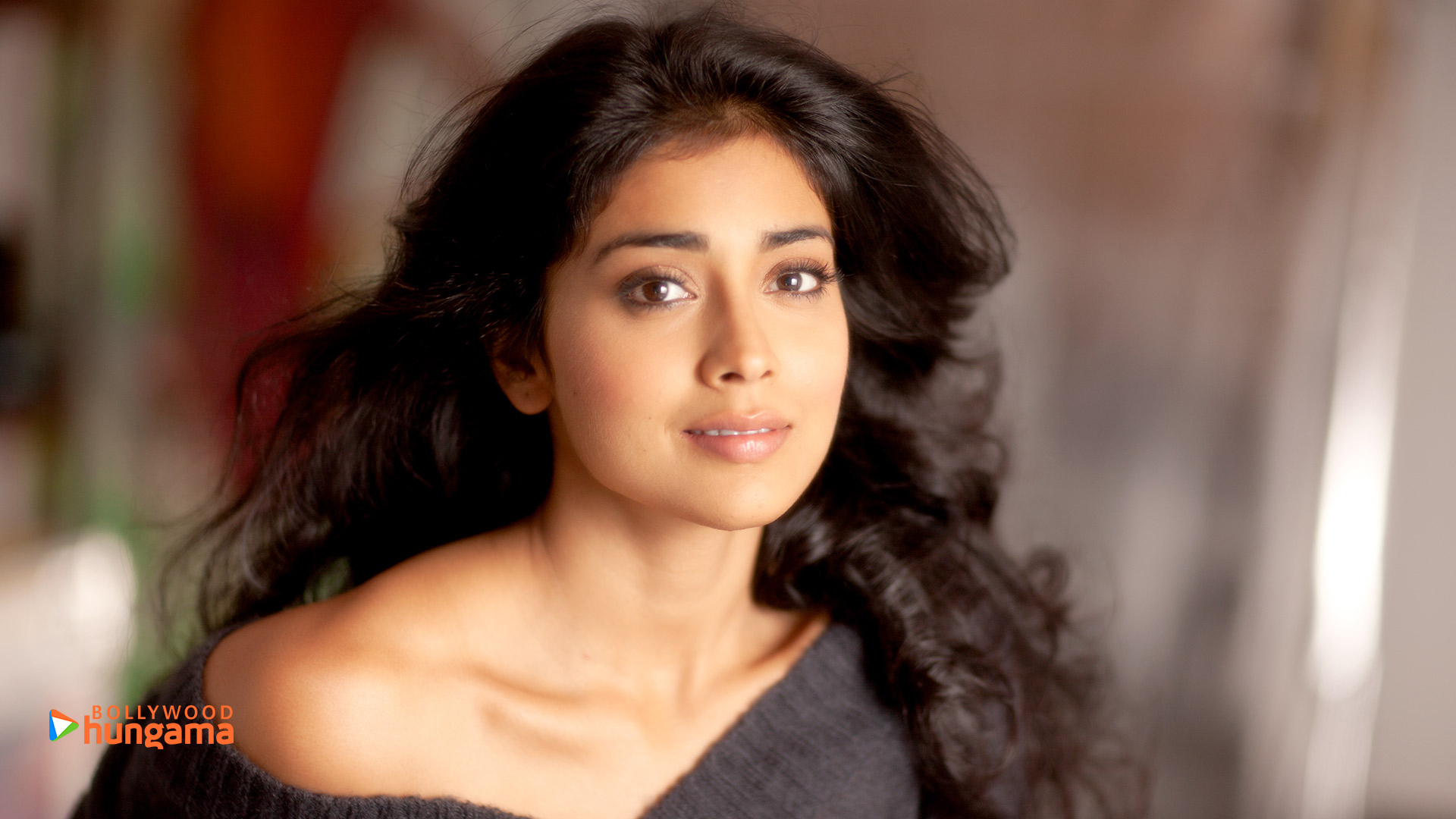Wallpapers | - Bollywood Hungama