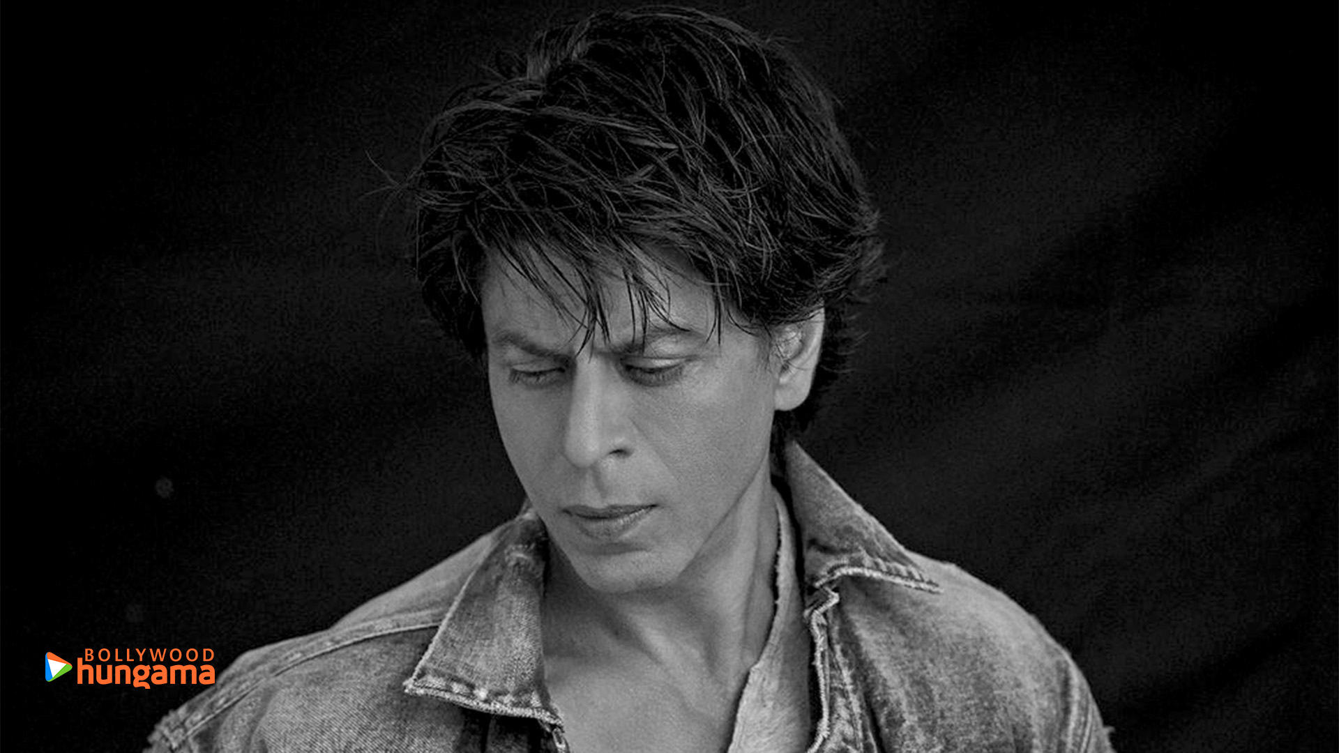 Shah Rukh Khan Wallpapers | shah-rukh-khan-1-17 - Bollywood Hungama