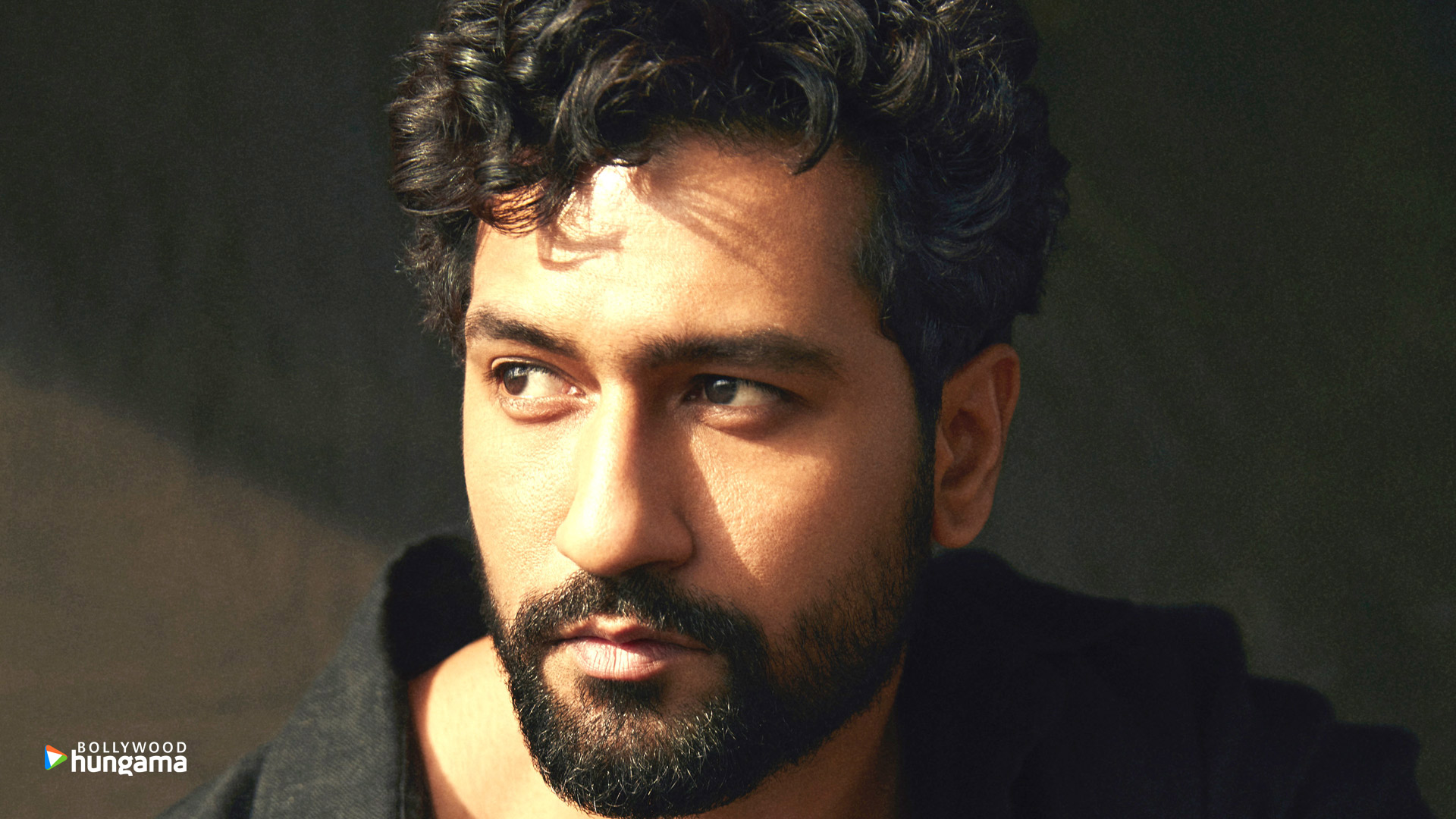 Vicky Kaushal Wallpapers | vicky-kaushal-3-17 - Bollywood Hungama