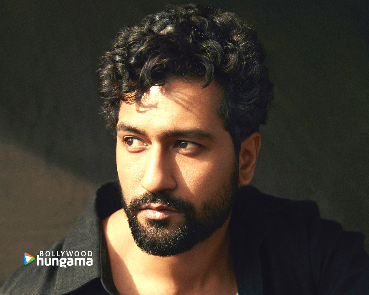 Vicky Kaushal Wallpapers | vicky-kaushal-1-19 - Bollywood Hungama