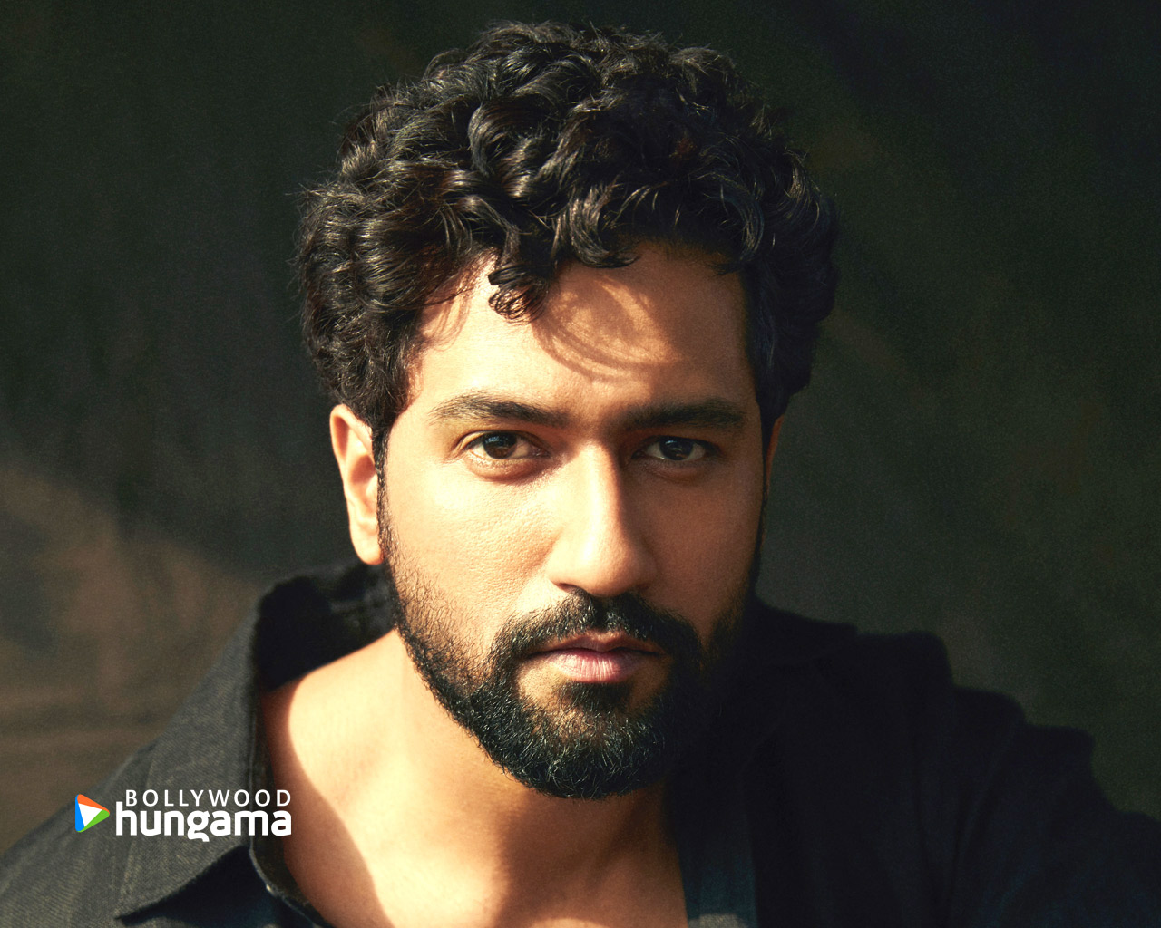 Vicky Kaushal Wallpapers | vicky-kaushal-3-17 - Bollywood Hungama