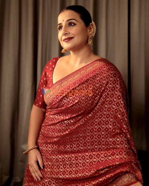 Vidya Balan Photo Hd Vidya Balan Horizontal Strips Handloom Gray Linen