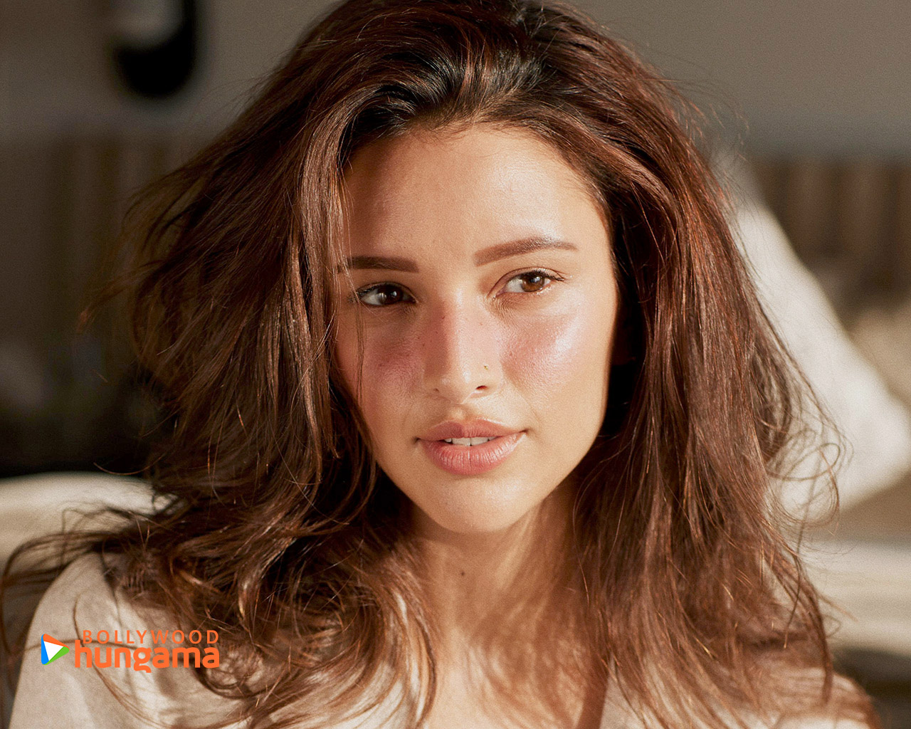 Triptii Dimri Wallpapers | triptii-dimri-2-15 - Bollywood Hungama