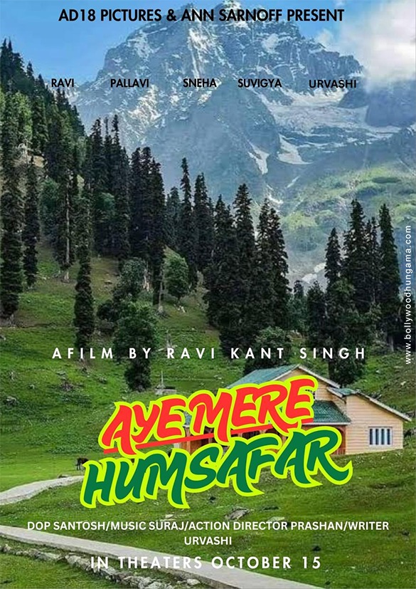 Aye Mere Humsafar Cast List | Aye Mere Humsafar Movie Star Cast ...
